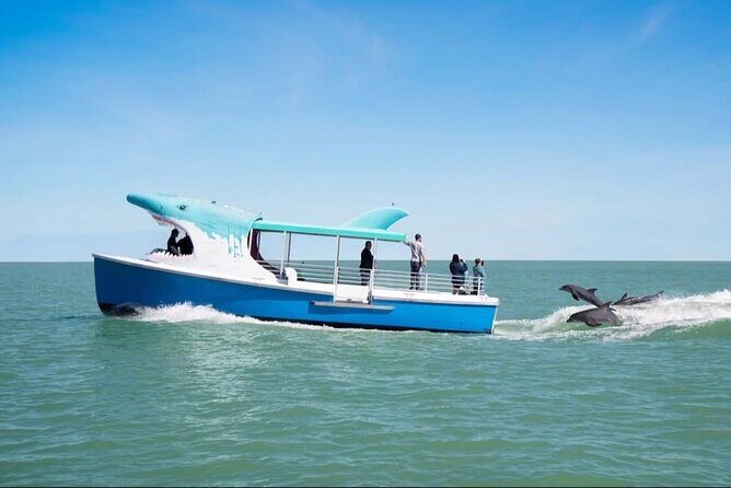 Shark Boat Destin Daytime Dolphin Watch and Sunset Cruise - The Experience: What You Can Expect