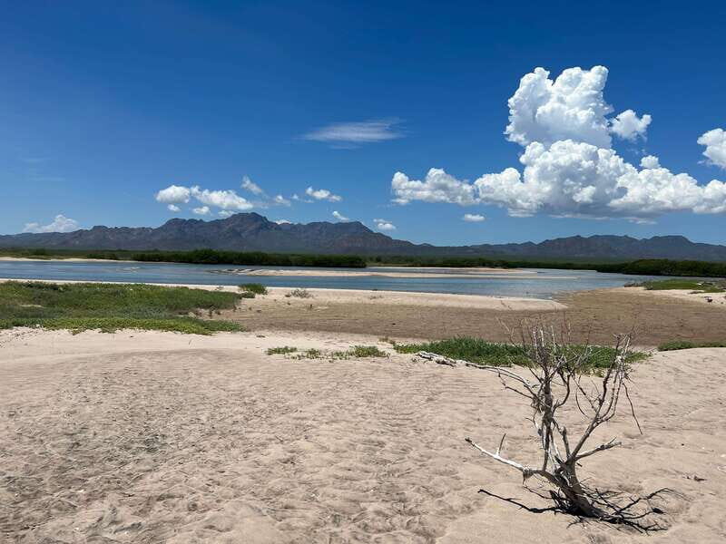 Shark Island: Tour of the largest island in Mexico - What’s Included & What It Means for You