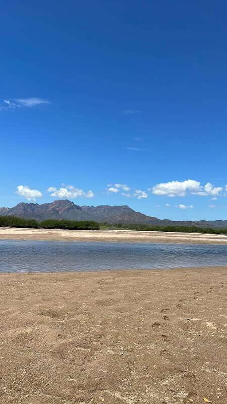 Shark Island: Tour of the largest island in Mexico - Is It Worth the Price?