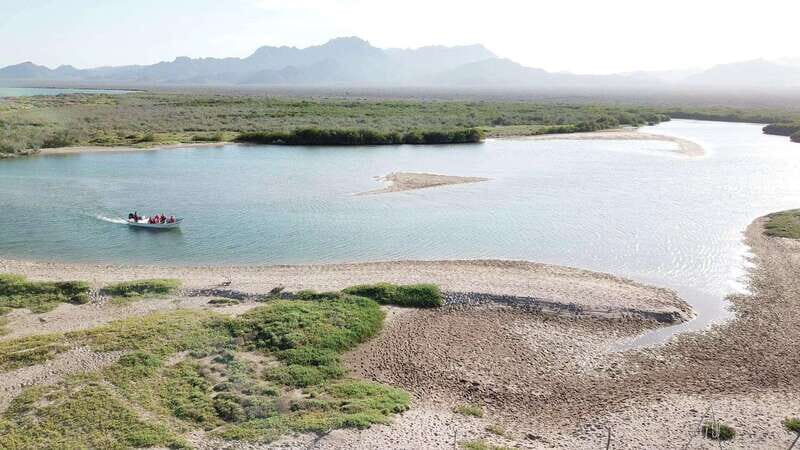 Shark Island: Tour of the largest island in Mexico - Who Will Love This Tour?