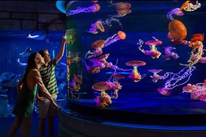 Shark Reef at Mandalay Bay Hotel and Casino - Key Points
