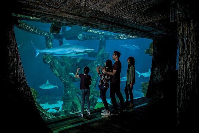 Shark Reef at Mandalay Bay Hotel and Casino - The Practicalities: Getting the Most Out of Your Visit