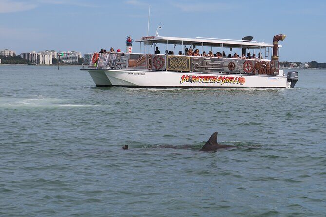 Shark Teeth and Shells, Dolphin and Shelling Tour Boat Clearwater Beach - Final Thoughts