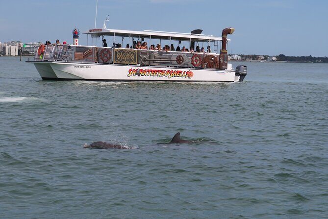 Shark Teeth and Shells, Dolphin and Shelling Tour Boat Clearwater Beach - Frequently Asked Questions