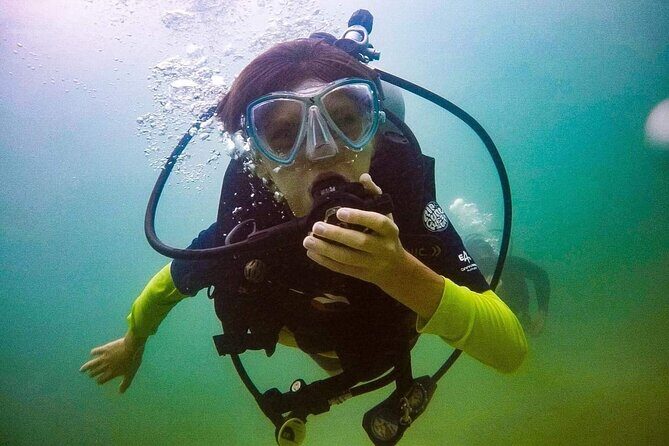 Shark Tooth Snorkeling Adventure and Huka Dive in Venice Florida - The Practical Side