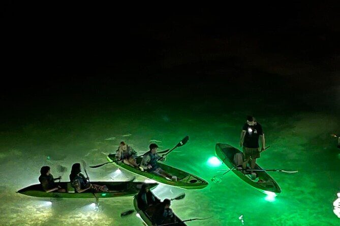 Sharkey's Glass Bottom Fish Feeding LED Night Tour in Clearwater - Who Should Consider This Tour?