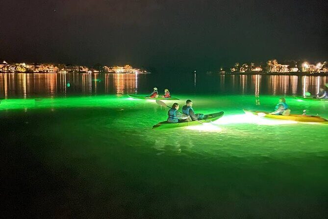 Sharkey's Glass Bottom Fish Feeding LED Night Tour in Sarasota - The Downsides and Considerations