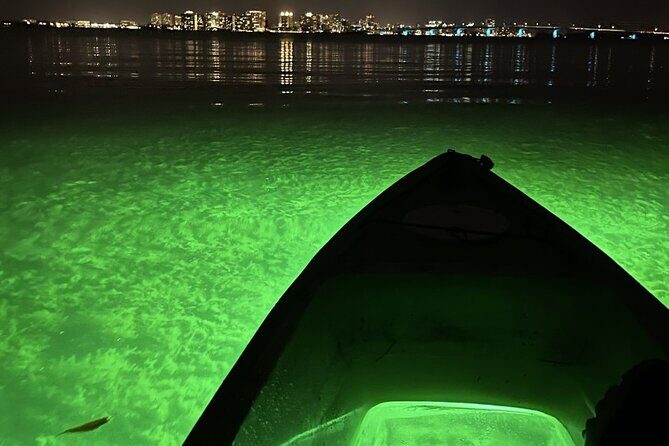 Sharkey's Glass Bottom Fish Feeding LED Night Tour in Sarasota - Is It Worth It?