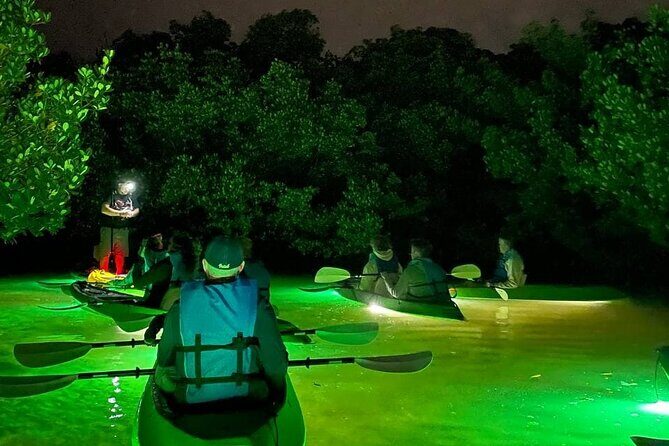 Sharkey's Glass Bottom Fish Feeding LED Night Tour in Sarasota - Who Will Love This Tour?