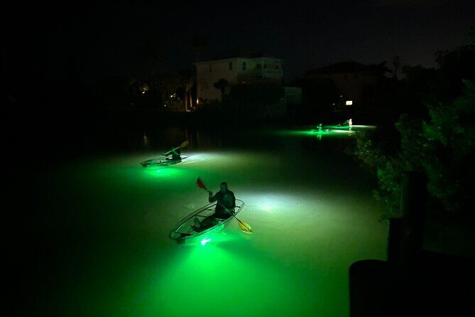 Sharkey's Glass Bottom Fish Feeding LED Night Tour in Venice, FL - An In-Depth Look at the Experience