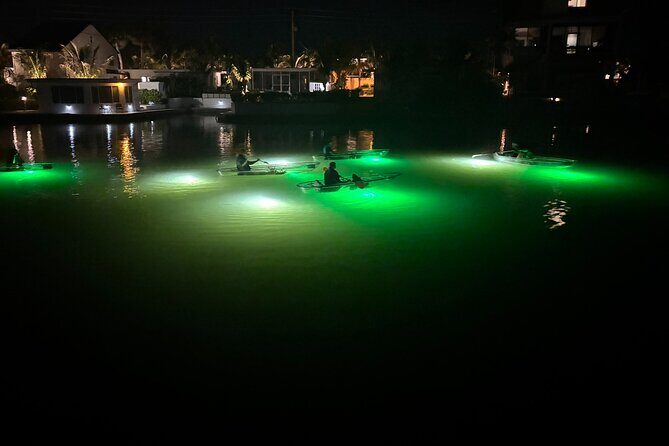 Sharkey's Glass Bottom Fish Feeding LED Night Tour in Venice, FL - FAQs