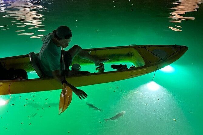 Sharkeys Glass Bottom Fish Feeding LED Night Tour St. Pete Beach - An Authentic Nighttime Adventure