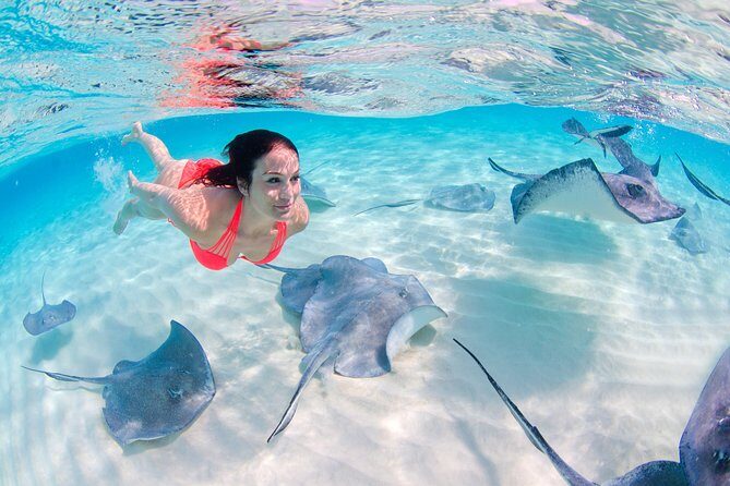 Sharks & Stingrays Encounter and Small Boat Ride from Punta Cana - Key Points