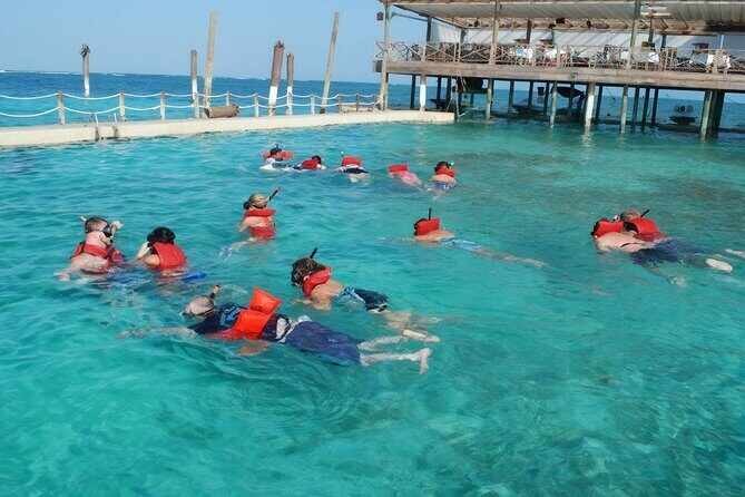 Sharks & Stingrays Snorkeling in Punta Cana with Parasailing - Who Should Consider This Tour?