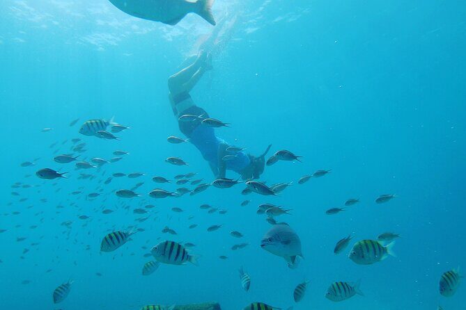 Shasa Catamaran Cruises Limited Numbers 3 Hour Sail and Snorkel - What’s Included and What to Budget For