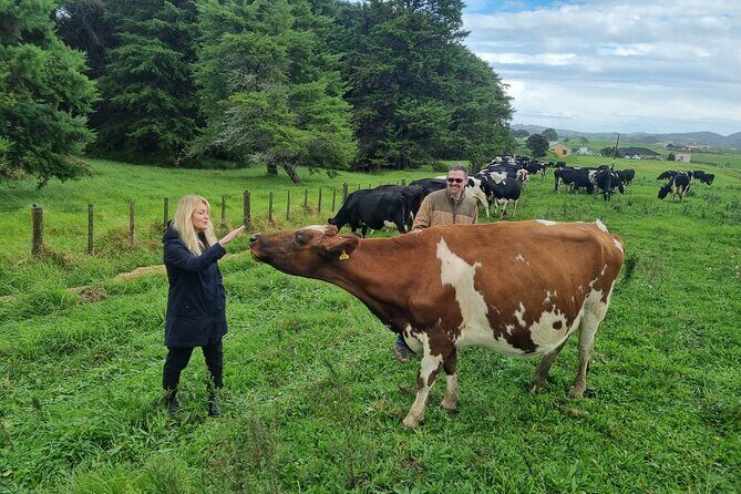 Sheep & Beef Working Farm Private Tour - Starting Point and Transportation