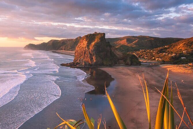 Sheep World and West Auckland Discovery Small Group Day Tour - The Sum Up