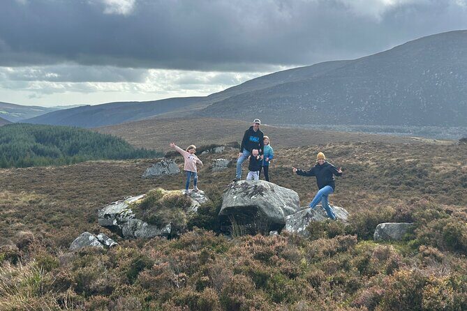 Sheepdogs in the countryside, authentic Dubliners city tour combo - Who Should Consider This Tour?