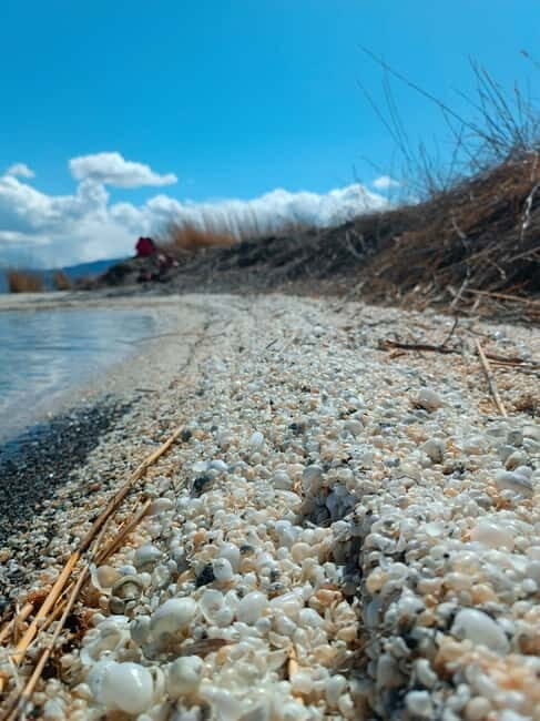 Shell beach Turtle head and Kok-Moinok canyons - Key Points
