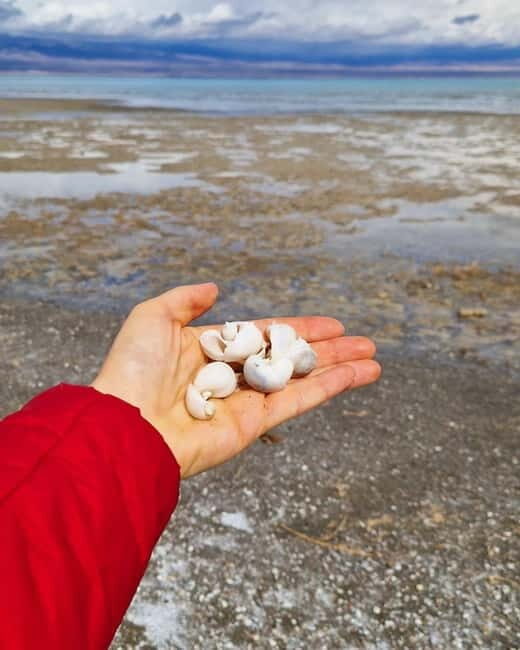 Shell beach Turtle head and Kok-Moinok canyons - An Introduction to Kyrgyzstan’s Scenic Side