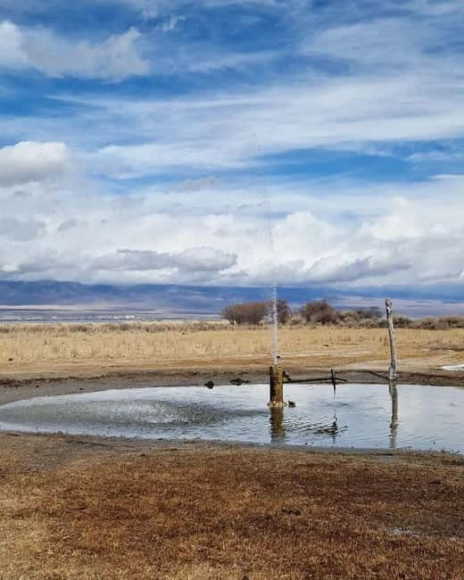 Shell beach Turtle head and Kok-Moinok canyons - Why This Tour Offers Good Value