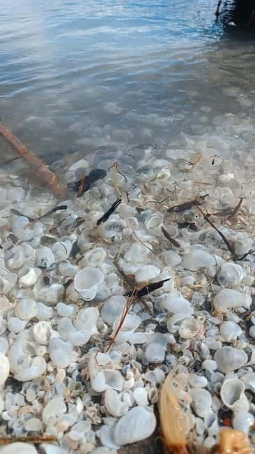 Shell beach Turtle head and Kok-Moinok canyons - Frequently Asked Questions