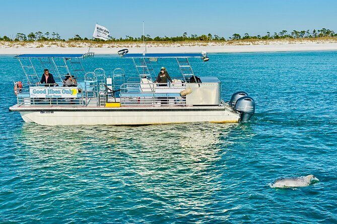 Shell Island Dolphin Sightseeing Boat Tour in Panama City Beach - In-Depth Review of the Shell Island Dolphin Sightseeing Tour