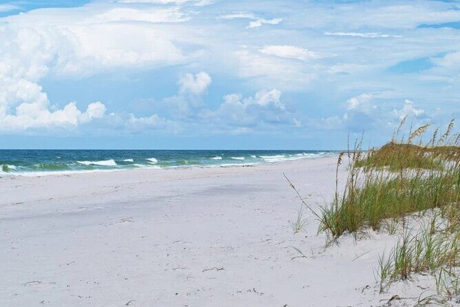 Shell Island Ferry - St Andrews State Park - A Practical Deep Dive into the Shell Island Ferry Experience