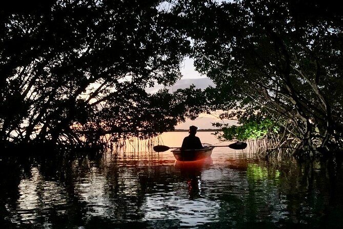 Shell Key Clear Kayak Sunset & Glow Tours - Discovering Shell Key at Night: A Complete Breakdown