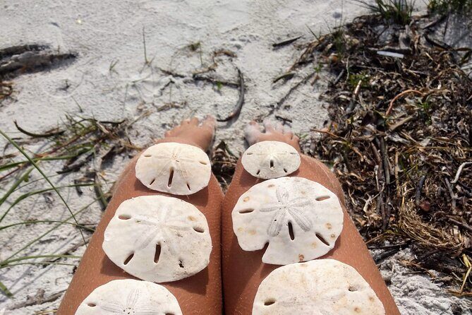 Shell Key Ferry from Ft. DeSoto Boat Ramp in Tierra Verde, FL - Shell Key: A Natural Treasure