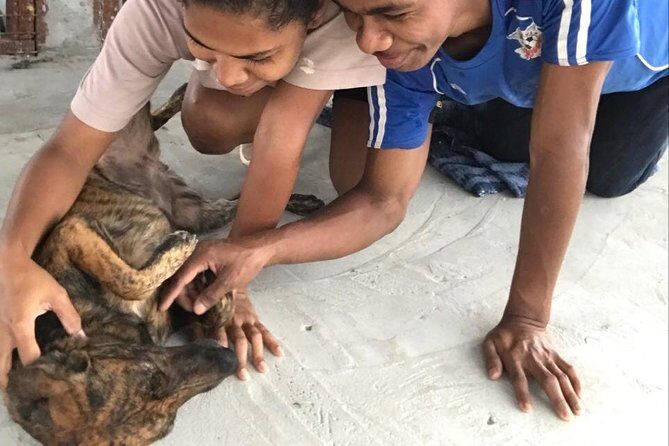 Shelter Visit & Tour - Practical Tips and Considerations