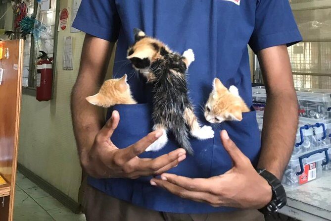 Shelter Visit & Tour - Frequently Asked Questions