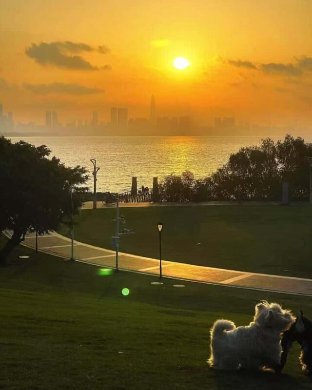 Shenzhen: Bay Park and Talent Park Guided Bike Tour - Who Should Consider This Tour?