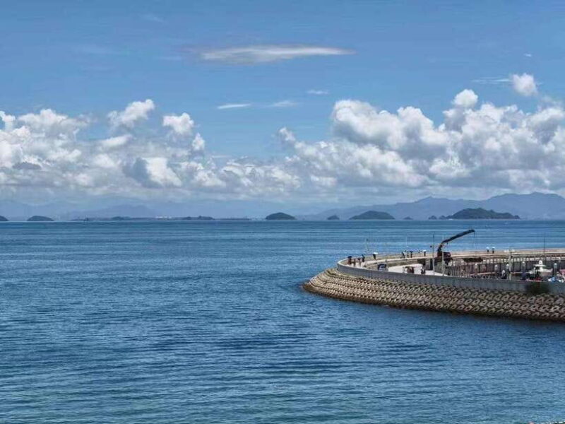 Shenzhen: Dapeng Peninsula Day Tour with Hotel Pickup - Transportation & Group Dynamics