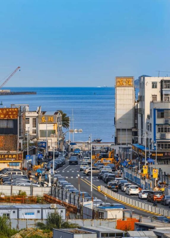 Shenzhen: East Coast Nature, Ports & Ancient Town Day Tour - Final Reflection