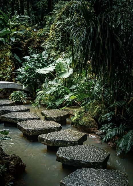 Shenzhen: East Coast Nature, Ports & Ancient Town Day Tour - The Itinerary Breakdown