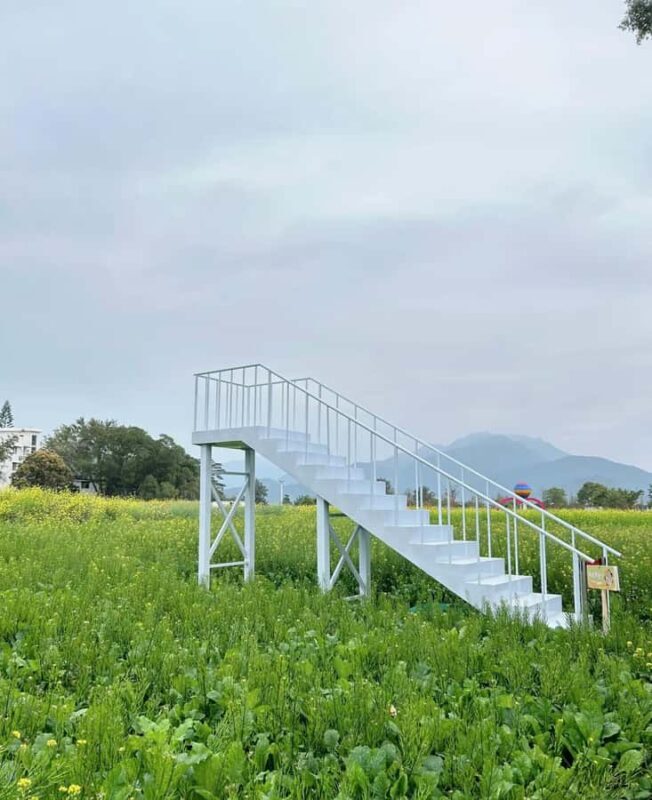 Shenzhen East: Dapeng Fortress, Temple, and Beach Day Tour - Key Points