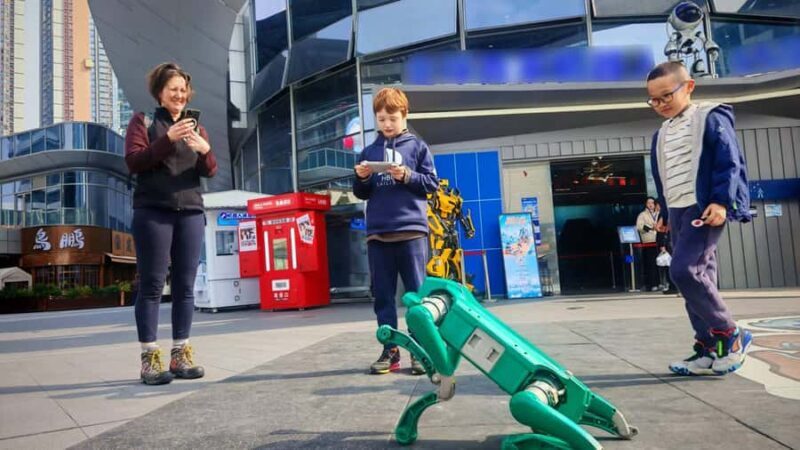 Shenzhen: Hands-On Robotics Experience - Robot Dogs & AI Art - A Closer Look at the Itinerary and Experience