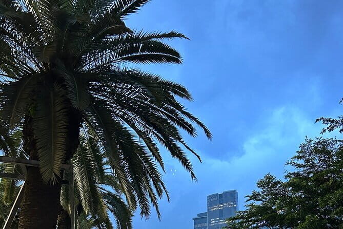 Shenzhen Private Customized Shopping Tour - Authenticities and Traveler Insights