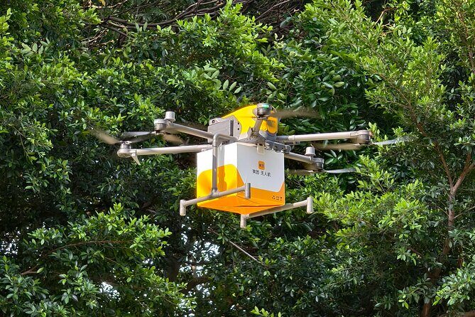 Shenzhen Private Tour: Discover Tech Wonders - A Closer Look at the Tour Experience