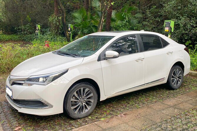 Shenzhen Private Transfer and Ongoing Travel Assistance - Key Points