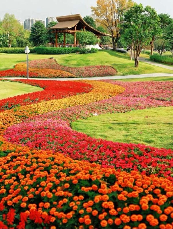 Shenzhen: Qianhai Bay to Happy Harbor Nature Walking Tour - Authentic Traveler Insights