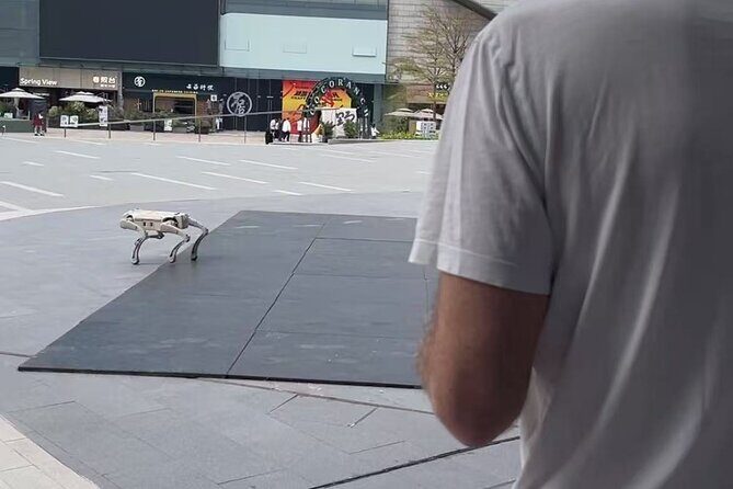 Shenzhen Tech Robot Store Drone Food Delivery and Driverless taxi - Final Thoughts