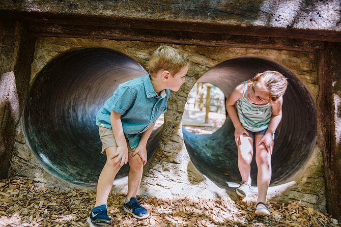 Shepherds Adventure Park - An In-depth Look at Shepherds Adventure Park