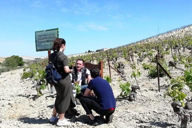 Sherry Experience in the Vineyard - FAQ