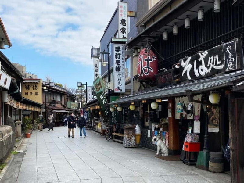 Shibamata: Step Back into Old Japan! - Key Points