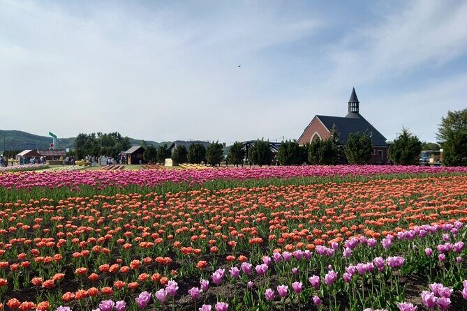 [Shibazakura / Tulip] Going by private car, Shibazakura Takinoue Park and Kamiyubetsu Tulip Park (from Sapporo) - Final Thoughts: Is It Worth It?