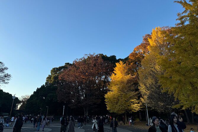 Shibuya and Harajuku Highlights Walking Tour - The Itinerary – A Deep Dive Into the Neighborhoods