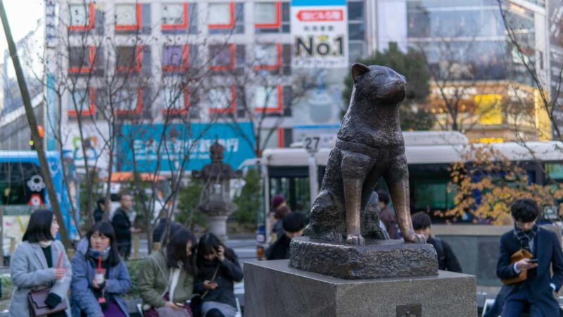 Shibuya: Crossing, Hachiko & Shibuya Sky Guided Tour - Shopping, Streets, and Hidden Corners