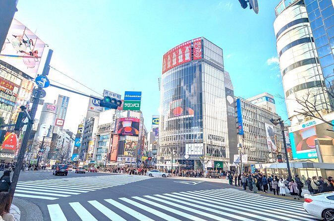 Shibuya Highlights Hachiko Scramble Meiji Jingu and Sky - Final Thoughts
